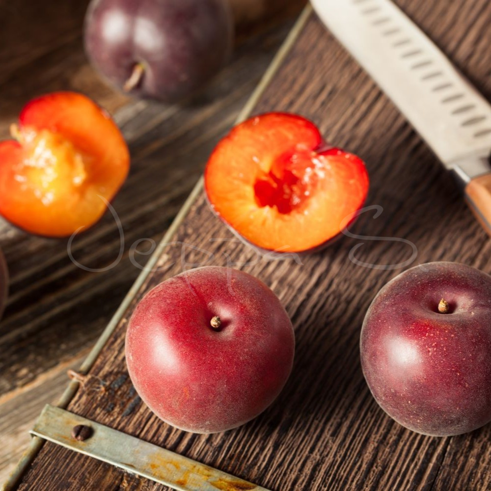 Plommon - Plumcot - Jeppa S Trädgård