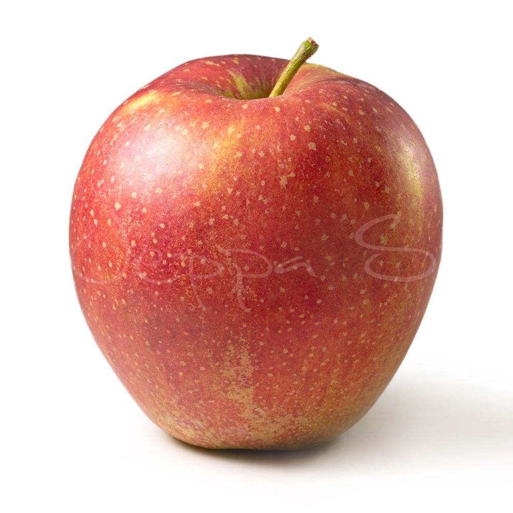 Äpple - Wellant - Dvärgträd - Jeppa S Trädgård